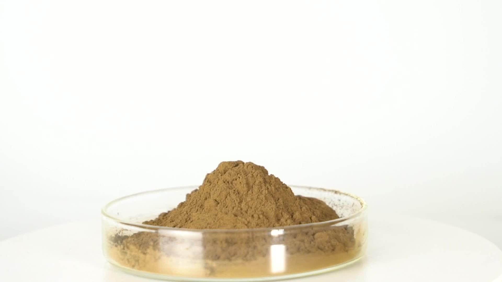 Astragalus Propinquus Extract Astragalus Root Extract 10% Astragaloside ...