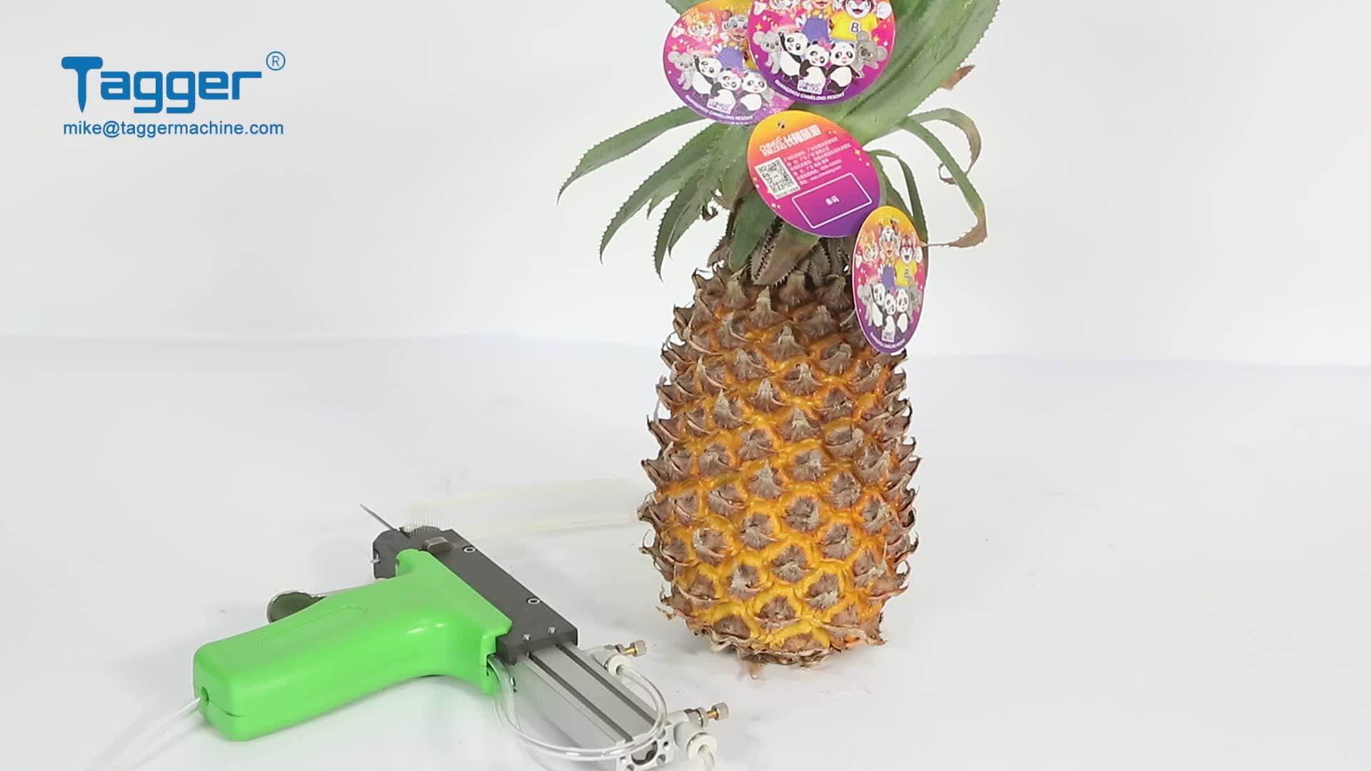 Tm441ss Pneumatic Heavy Duty Tagging Gun With 25 To 55mm Heavy Duty Tag ...