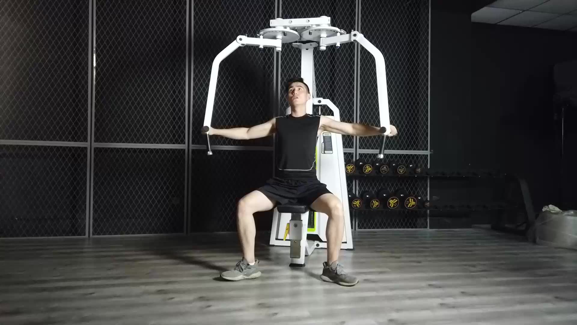 Em1002 Body Building Professional Gym Fitness Equipment Pec Deck Fly ...