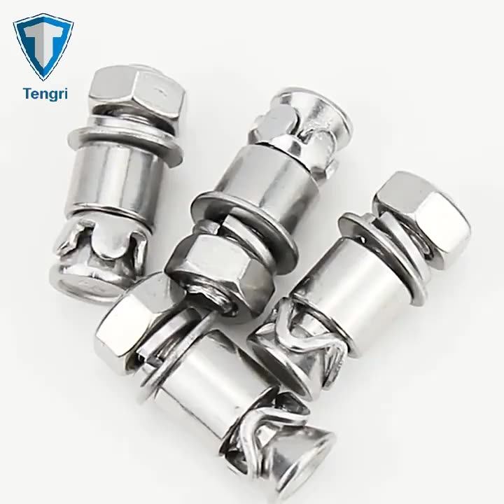 Stainless Steel High Quality Undercut Anchor Bolt/ Knocking Type Back ...