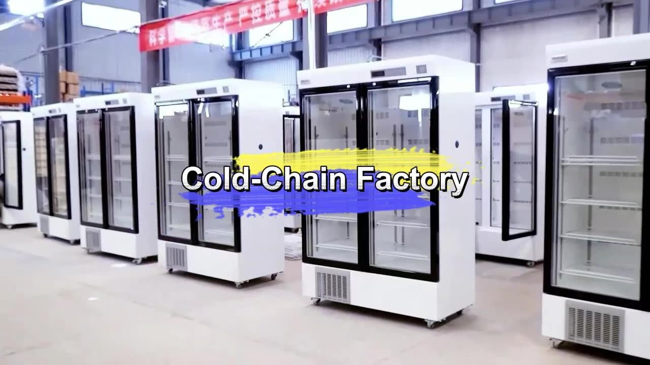 Biobase China Factory Standing Freezer 348l Microprocessor Control Lab ...