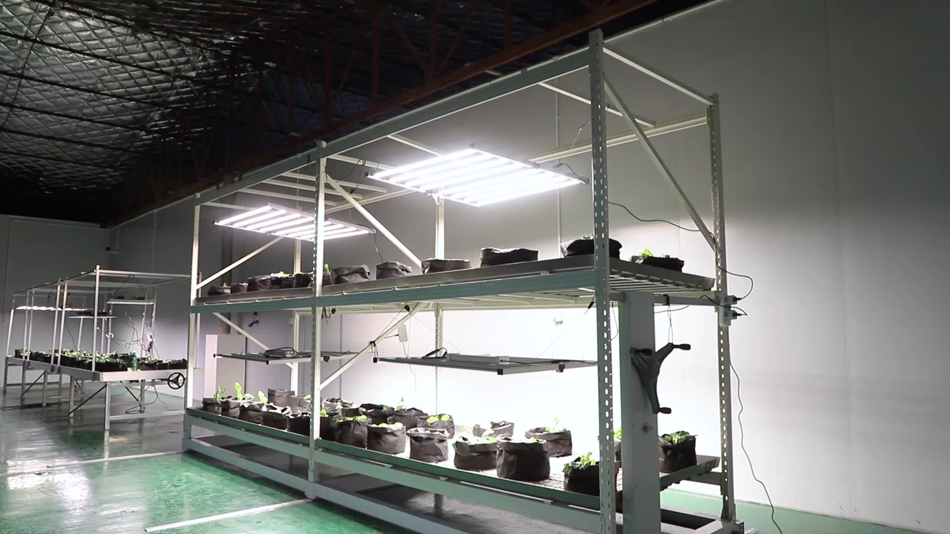 Vertical Farming Container Pipp Vertical Mushroom Cultivation Growing ...