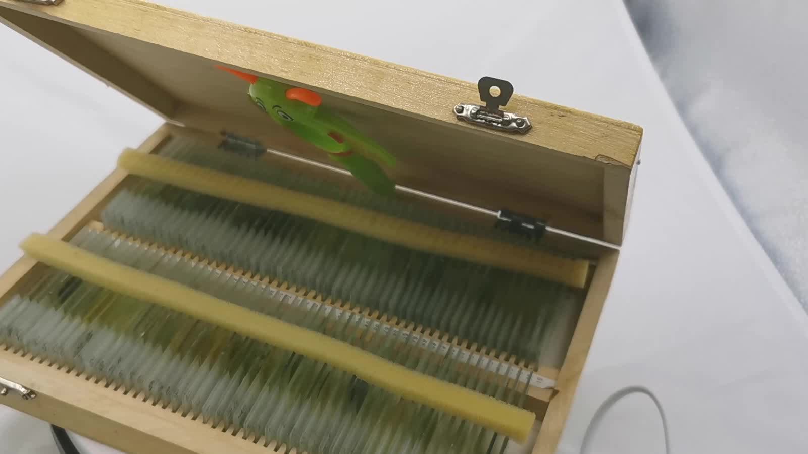 Hot Selling Fixed Set 100pcs Mineral Thin Section Slides Prepared ...