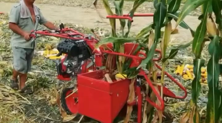 Maize Stalk Sugarcane Cutting Harvester Single Row Maize Harvester ...