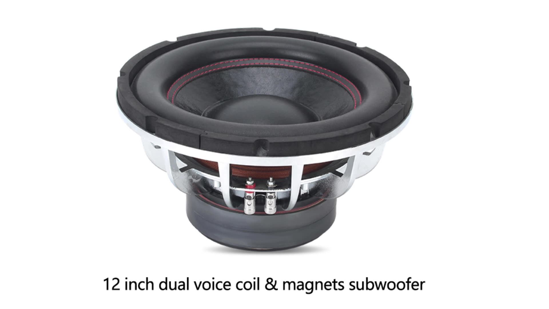 Woofer 10 /12 / 15 / 18 / 21 Inch Powered Subwoofer Active,Double ...