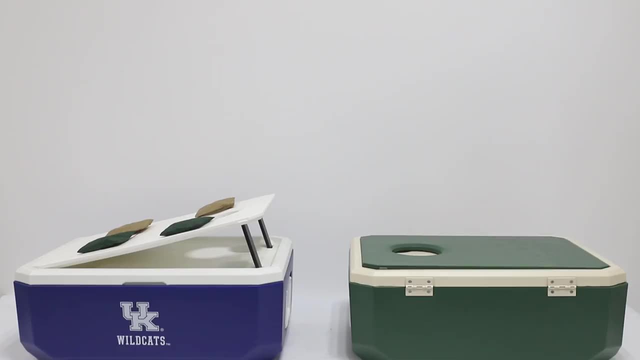 Hs Plastic Hot Sell Product Large Hand Carry Beer Wine Car Cold Cooler ...