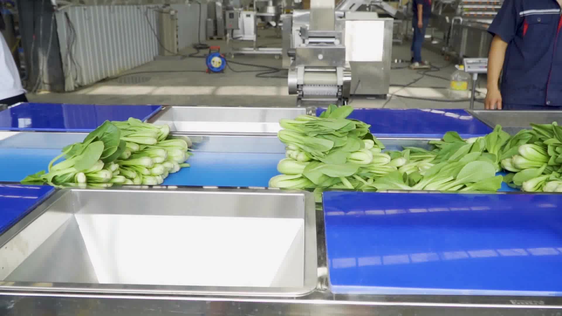 Industrial Food Processing Seaweed Washing Kelp Cleaning Machine - Buy ...