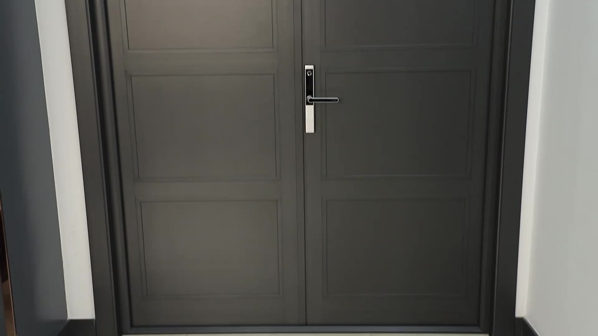 Modern Contemporary Decorative Double Door Security Entry/front ...