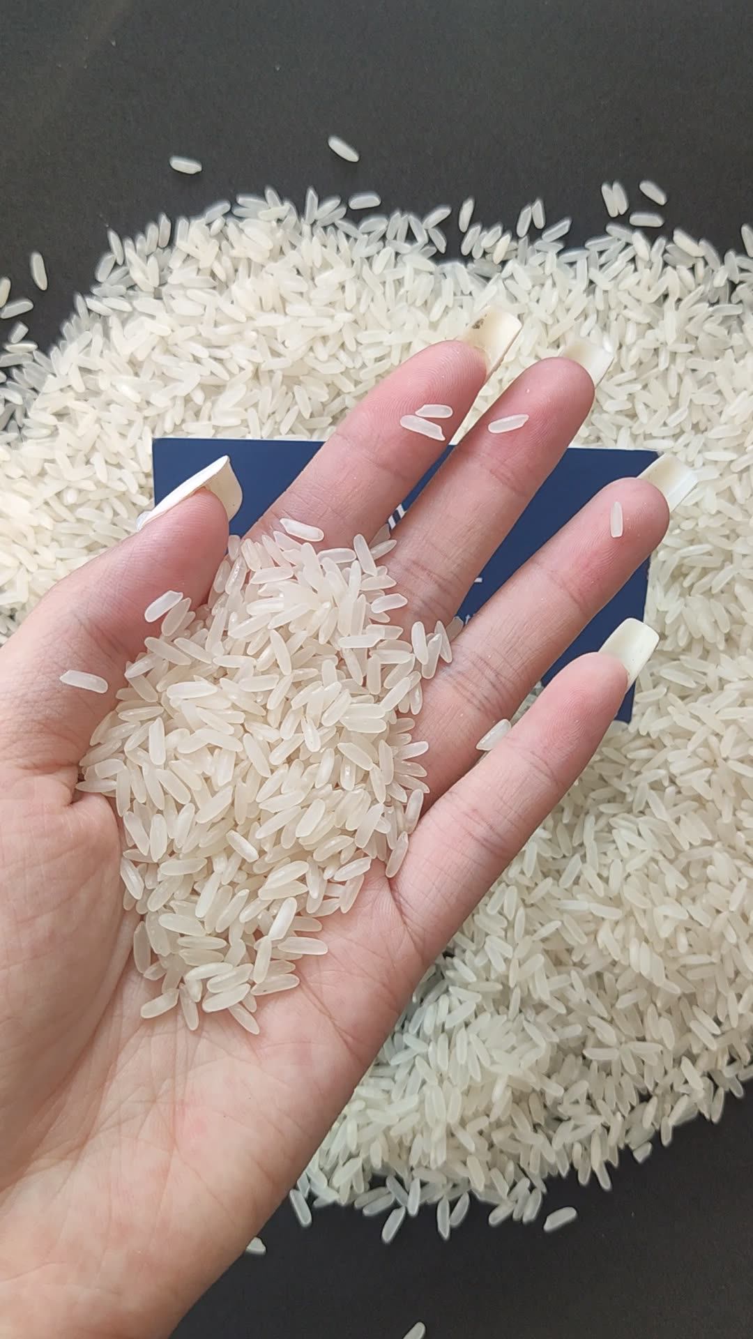 Selling Gulfood 2024 Vietnam Jasmine/ Fragant Rice With Best Price ...