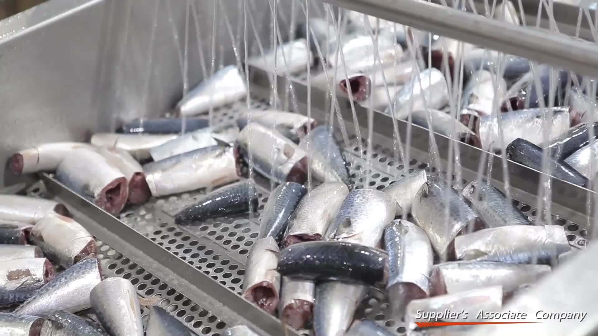 Brand Of Tuna Fish Canned/mackerel Fish Canned/sardine Fish Canned ...