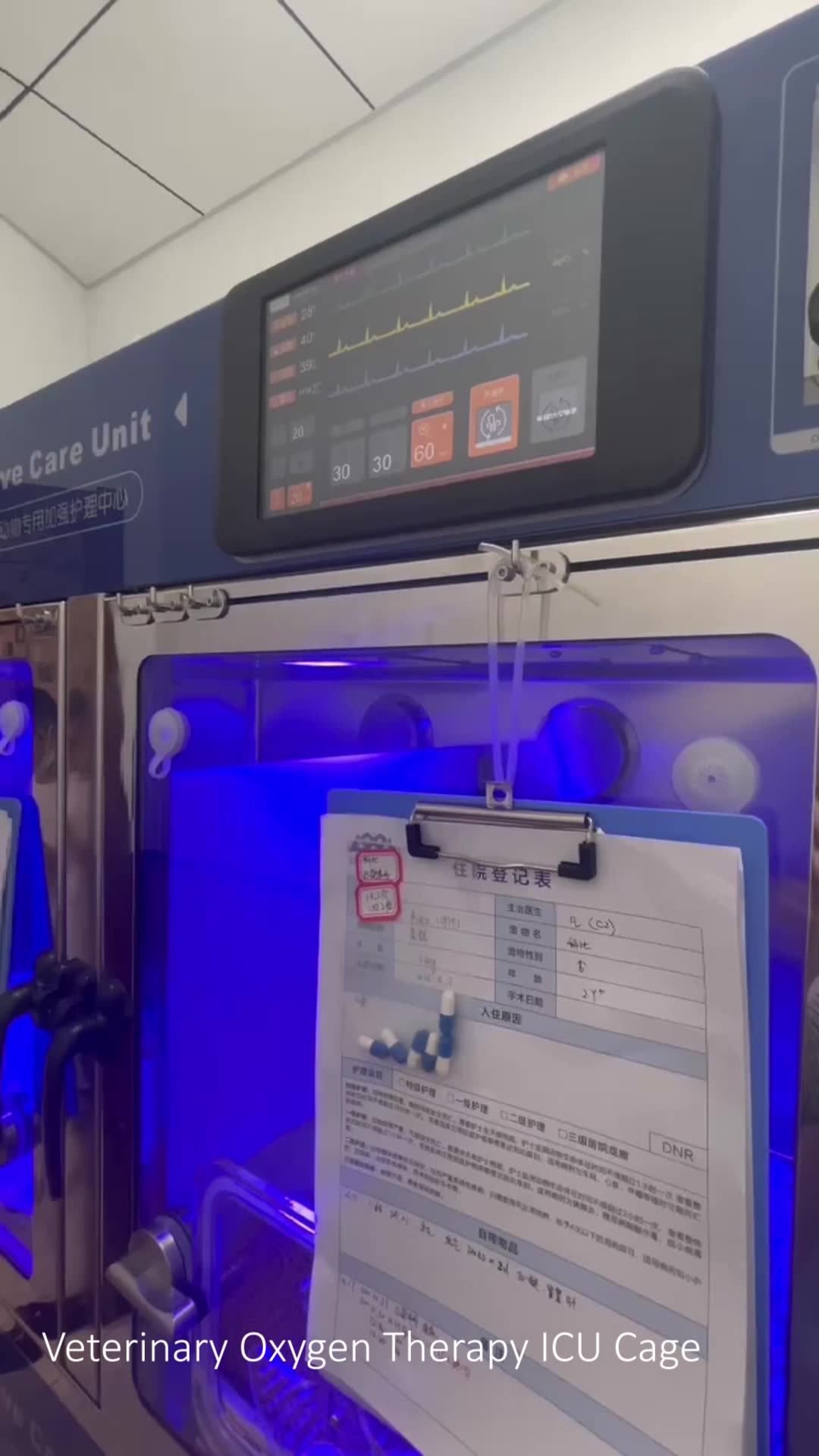 Veterinary Oxygen Therapy Icu Cage Pet Feline Stainless Steel Dog ...