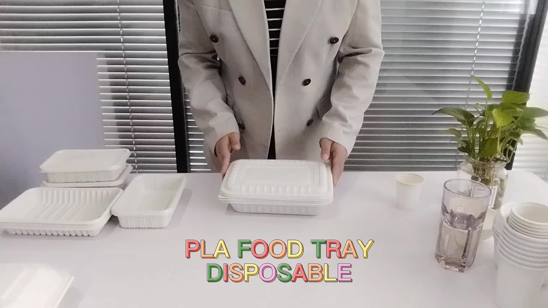 Biodegradable Food Grade Clamshell Pla Disposable Luncn To Go ...