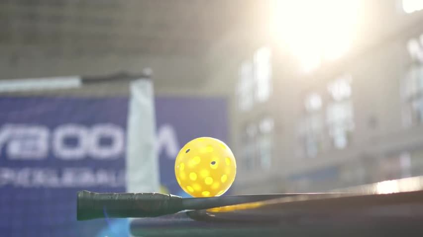 Usapa Standard Fiberglass Pickleball Paddles With High Grit Spin ...