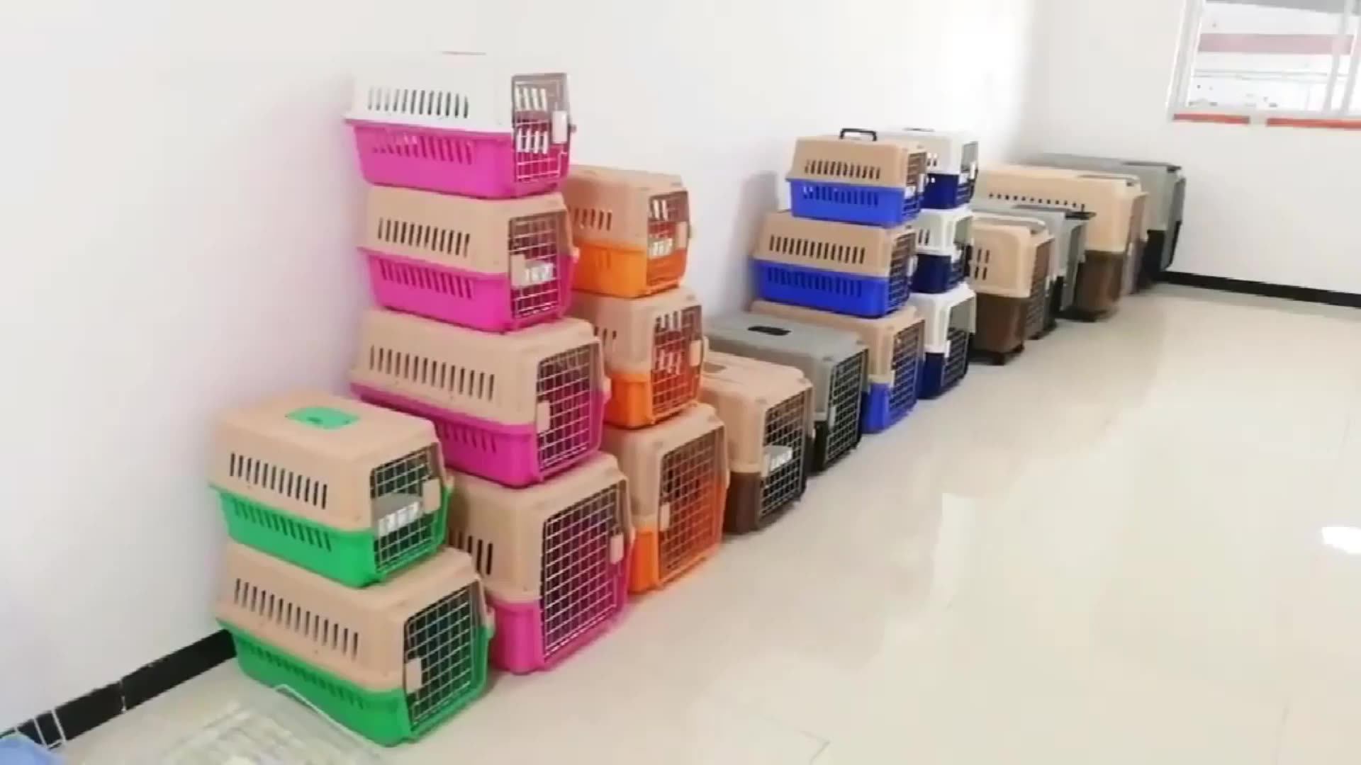 Qingdao Lezi Pet Air Box Small And Medium-sized Cats And Dogs Out Of ...