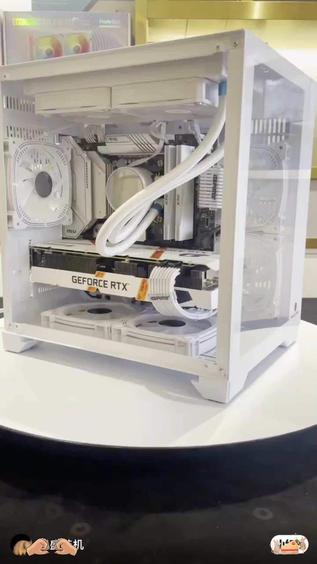 Lian Li O11 Dynamic Evo White Pc Case Gaming Midtower Water Cooling ...