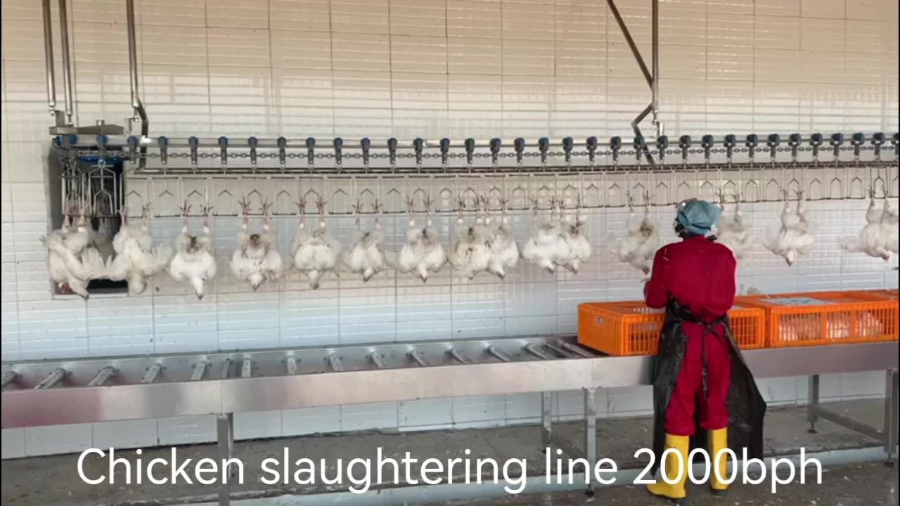 Poultry Slaughter Machine Hanger/slaughterhouse Equipment - Buy Poultry ...