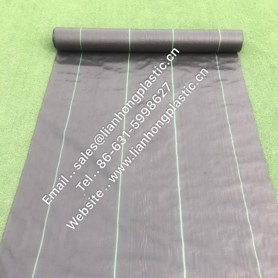 Pp Woven Weed Barrier Fabric Woven Polypropylene Fabric Plastic Ground ...