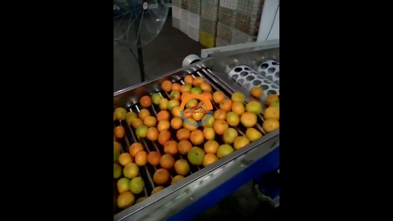 Automatic Onion Size Grading Sorting Machine Auto Industrial Onions ...