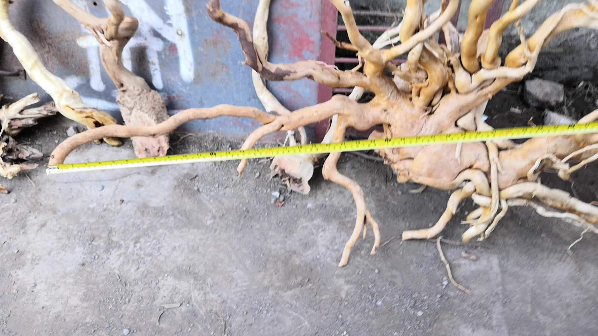 Wholesale Thailand Tree Branches Drift Wood Fish Tank Decorative ...