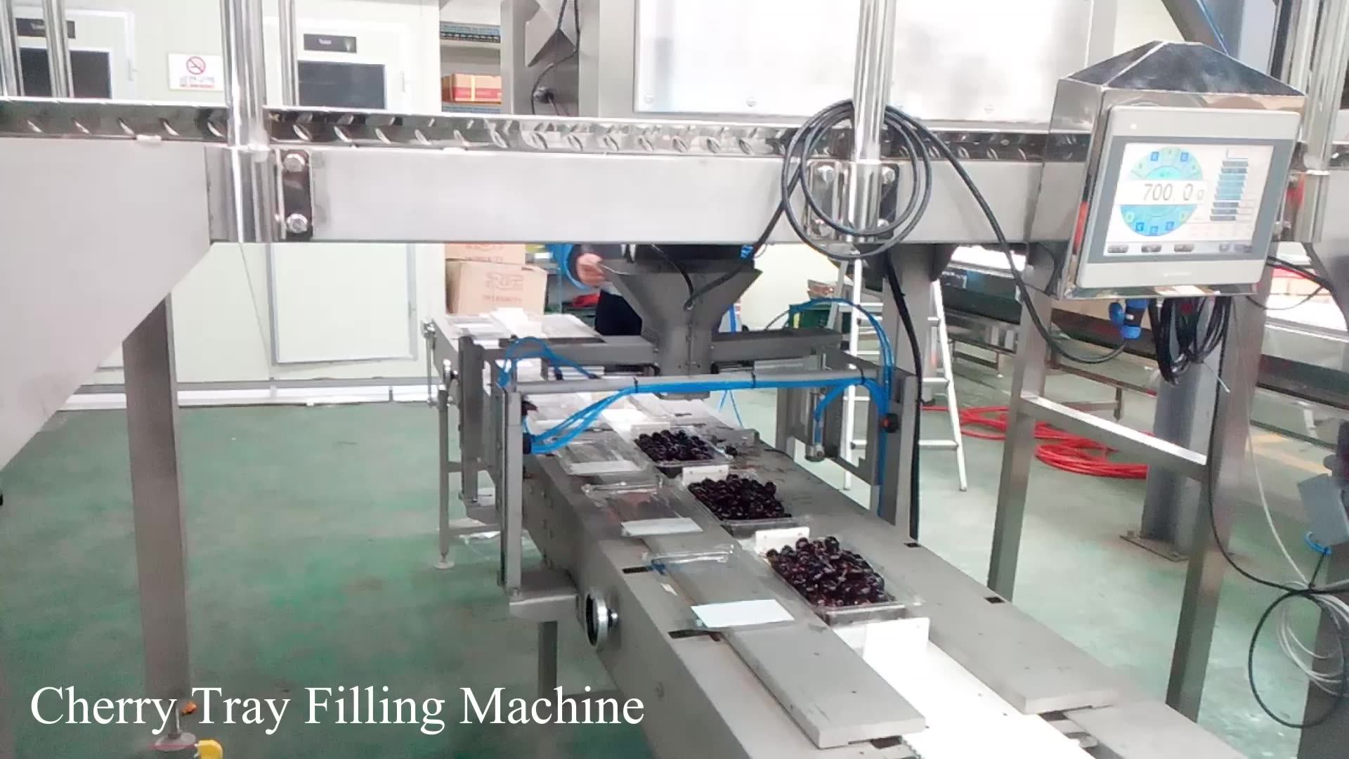 Fresh Frozen Fruit Punnet Box Filling Strawberry/cherry/blueberry ...