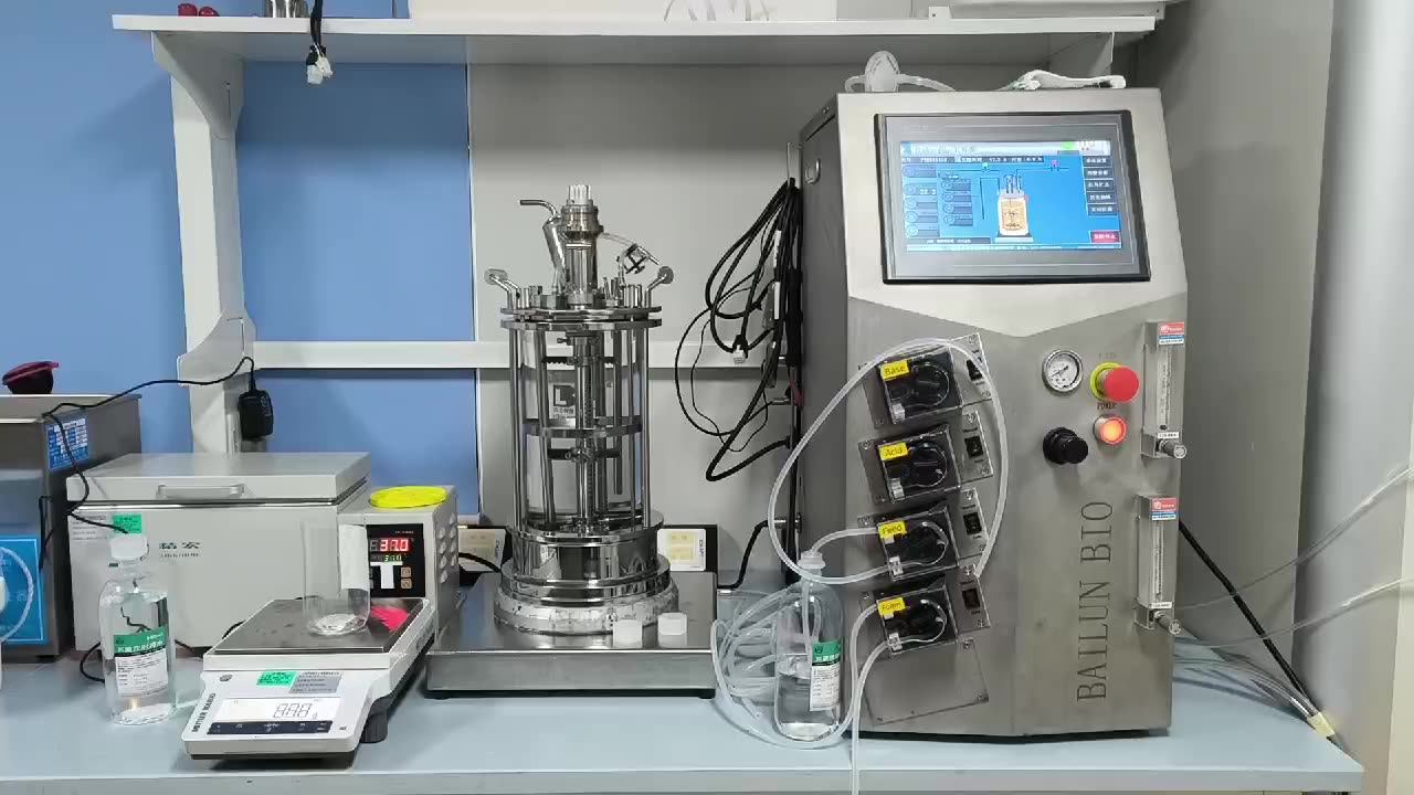 Lab Glass Bioreactor Fermenter Lab Scale Bioreactor Small Scale ...