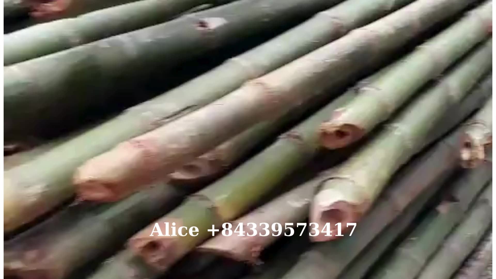 Wholesale Vietnam Bamboo Poles-100% Natural Bamboo Pole/cane/stick ...