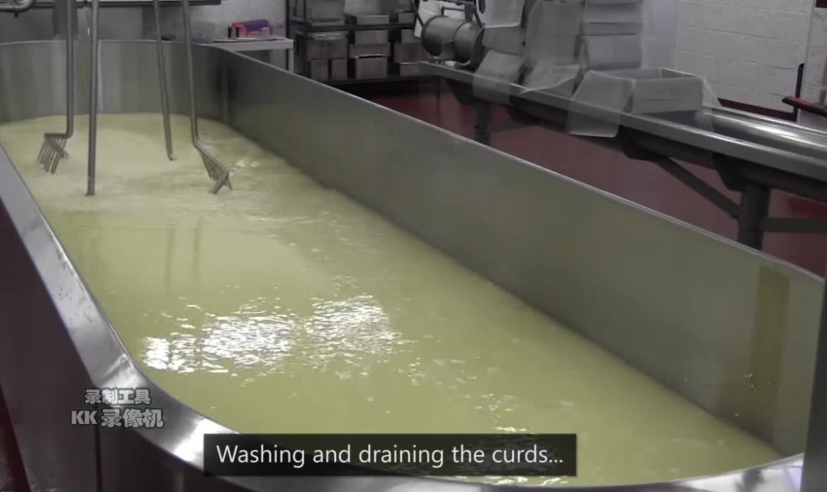 Small Capacity Cheddar Cheese Machine - Buy Cheddar Cheese Machine ...