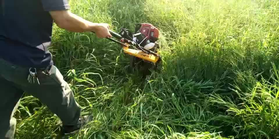 Hand Push Lawn Mower Gasoline Powered Vegetation Mower Grass Cutting ...