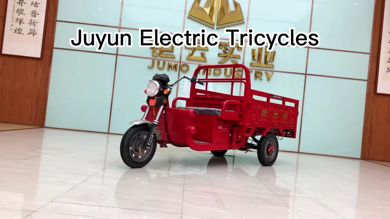 China Chang Li Motor Family Rickshaw 3 Wheel Cargo Trike Electric ...