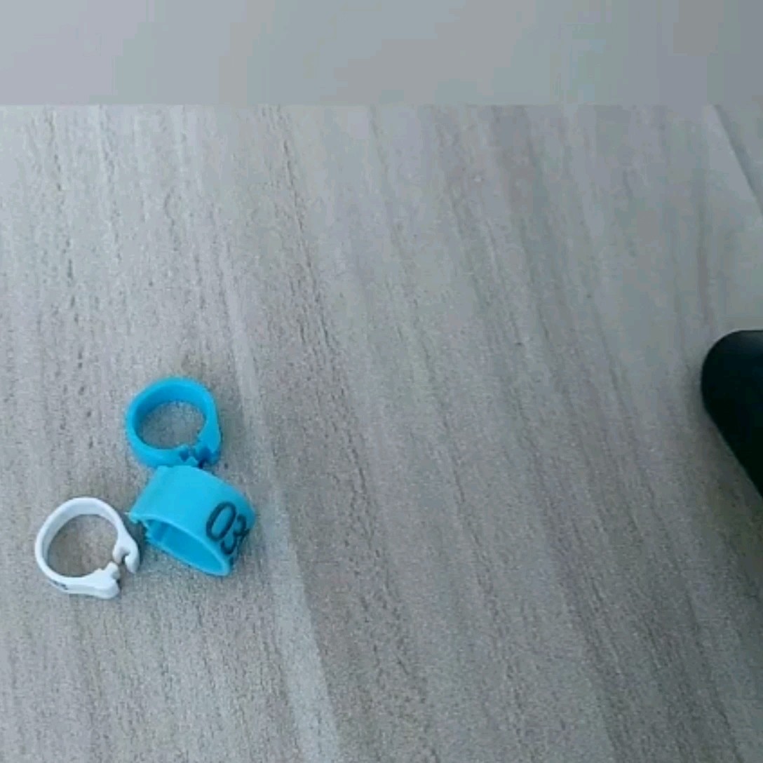 Blue Plastic Pigeon Ring Open Ring With Inner Diameter 8mm Numbers 001 ...