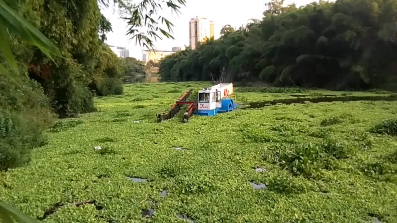 Seaweed Harvesting Machine,Water Plants Cutting Ship - Buy Seaweed ...