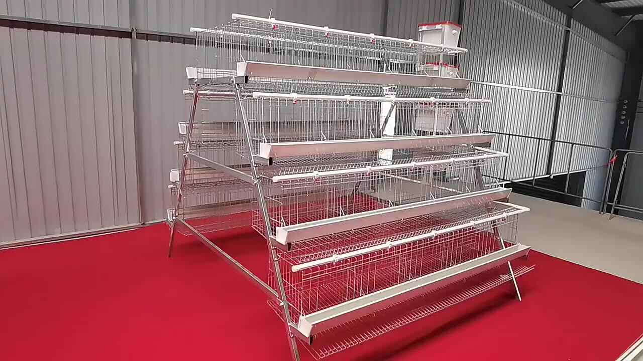Poultry Cage Laying Hen Broiler Chicken Cage Large Capacity Poultry ...