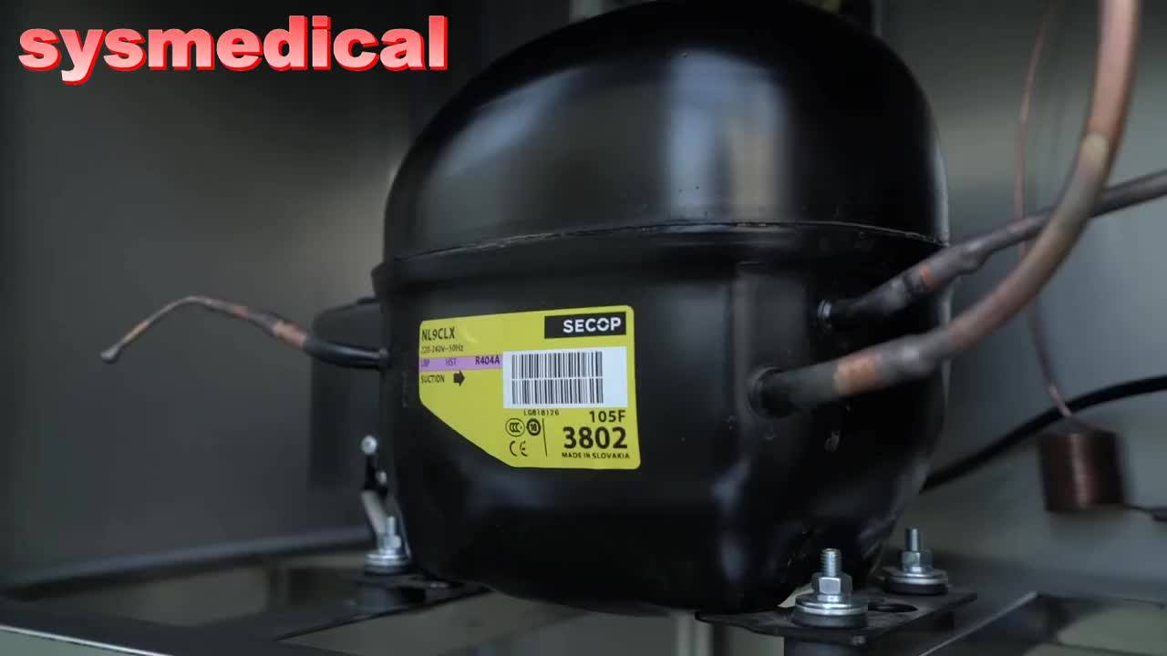 Cadaver Freezer Stainless Steel 304 Mortuary Body Refrigerator Freezer ...