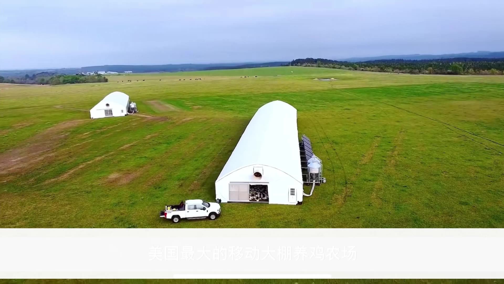 Mobile Broiler House Structures Breeding Greenhouse Solar-powered Robot ...