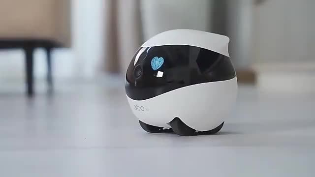 Popular 32g Smart App Wireless Control Ebo Pet Companion Robot Camera ...