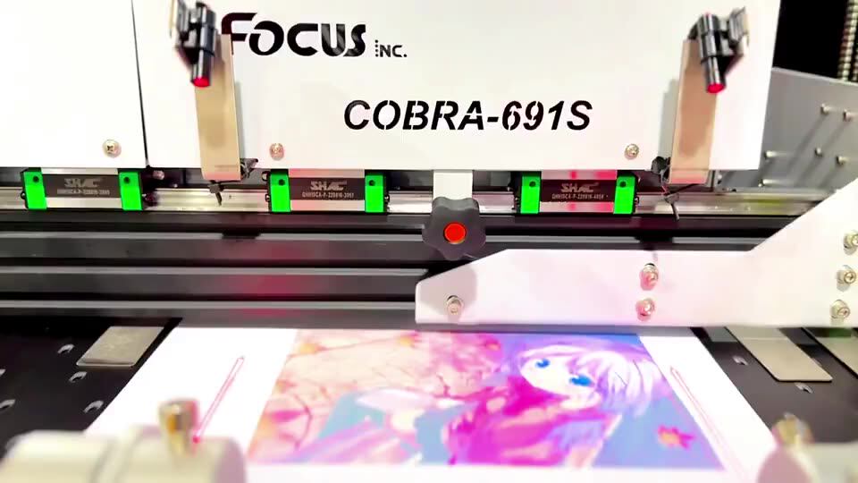 Focusinc Single Pass Carton Printer One Pass Digital Carton Package ...