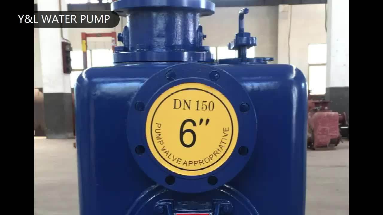 6 Inch Self-priming Water Pump Irrigation - Buy Water Pump Irrigation ...