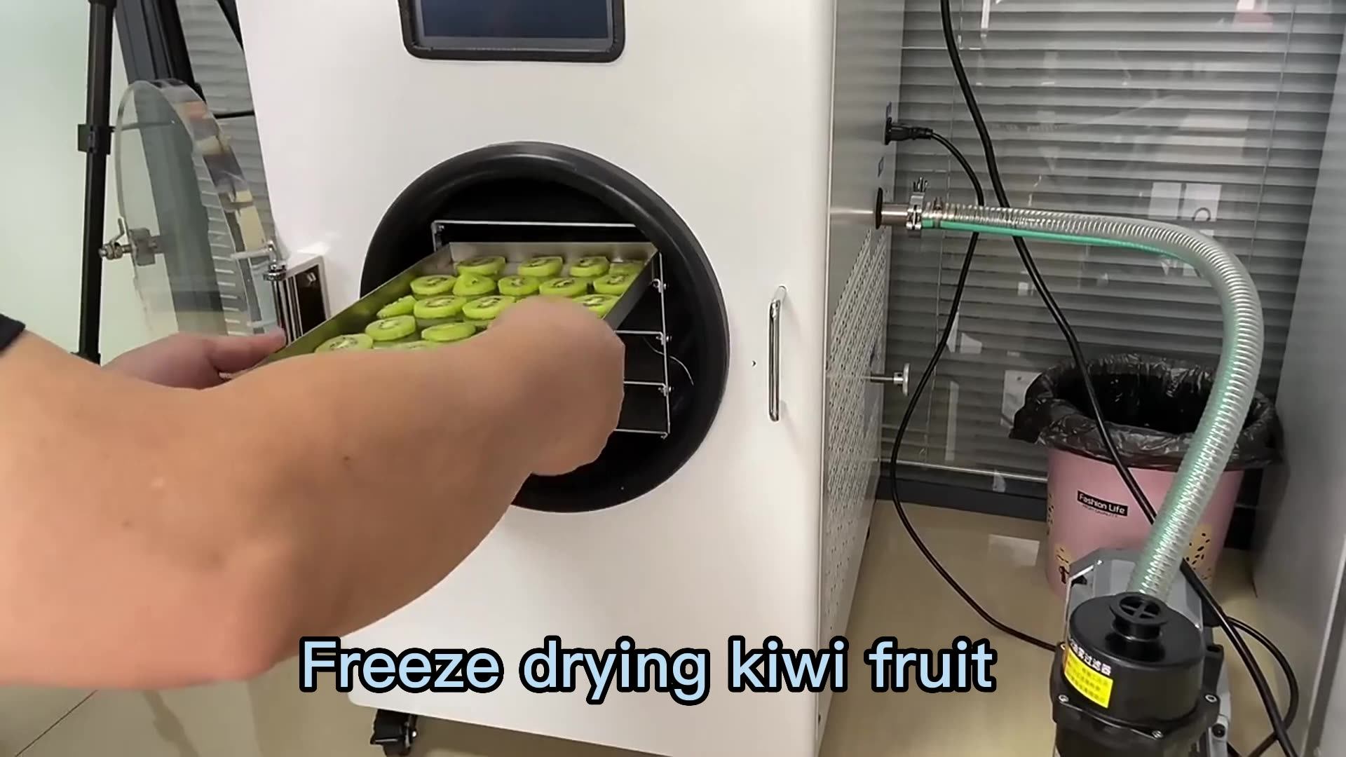 Lanphan Small Medium Large Size Freeze Dryer Lyophilizer Machine For ...