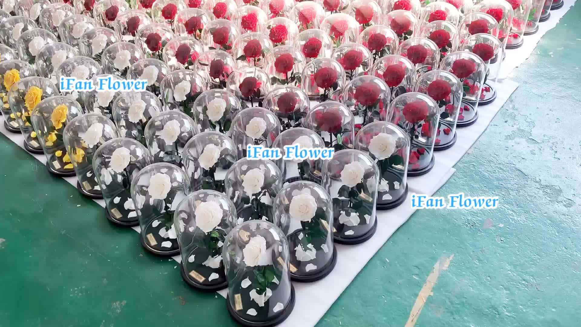 A Grade Long Lasting Roses Forever Rose Preserved Rose Flower In Glass ...