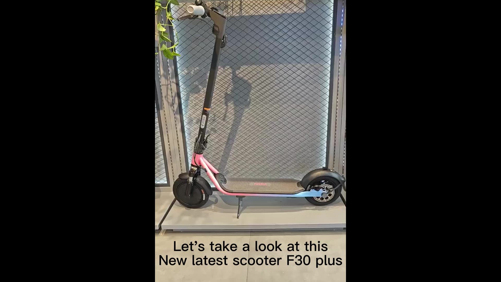 Segway Ninebot F30 Plus With App Electric Moped Electric Scooters ...