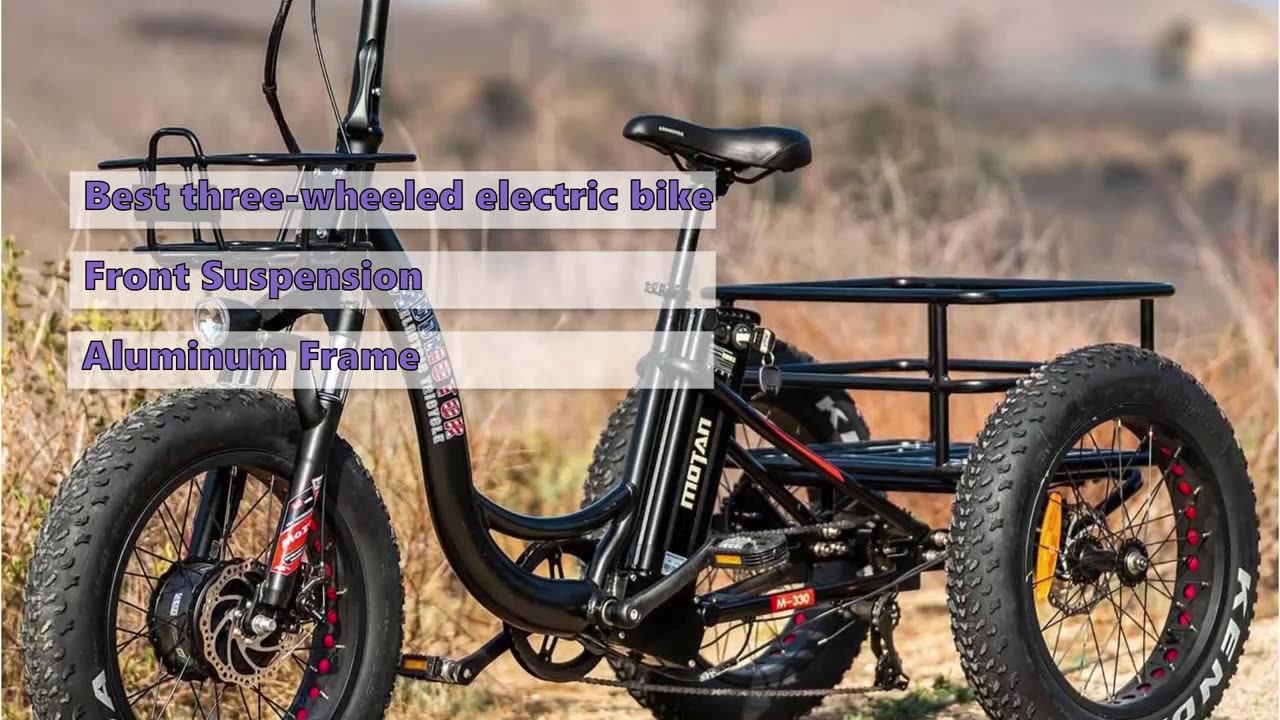 Uwant Tricycle Adult 3 Wheel Electric Three Bike Rikshaw Three Wheel ...