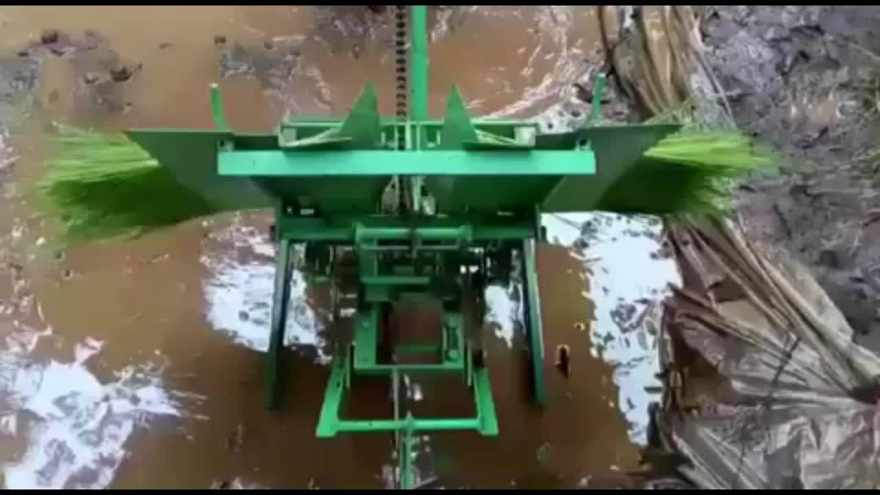 Rice Paddy Planter/manual Rice Transplanter - Buy Kubota Rice ...