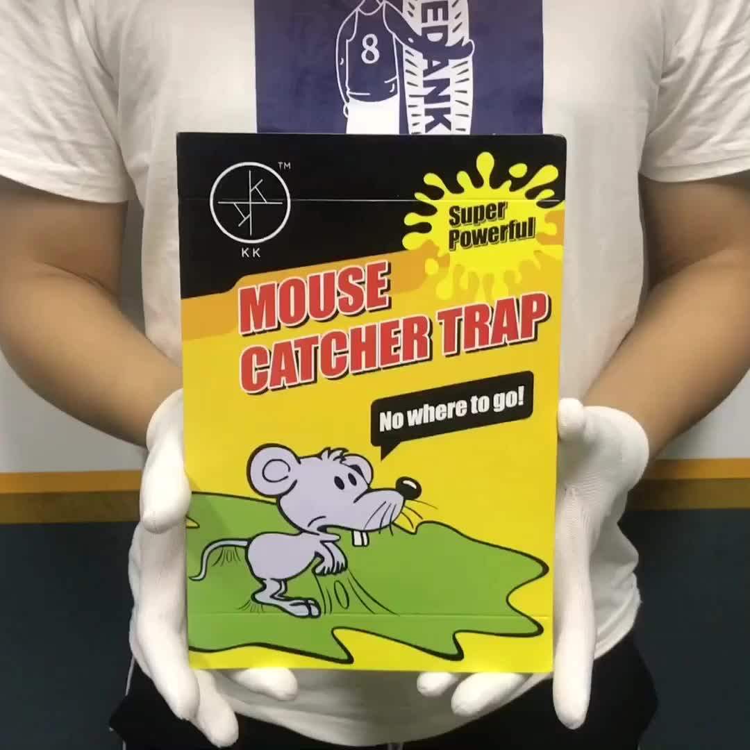 Rat Catcher Mouse Glue Board Traps Mice Sticky Rat Traps - Buy Mice ...