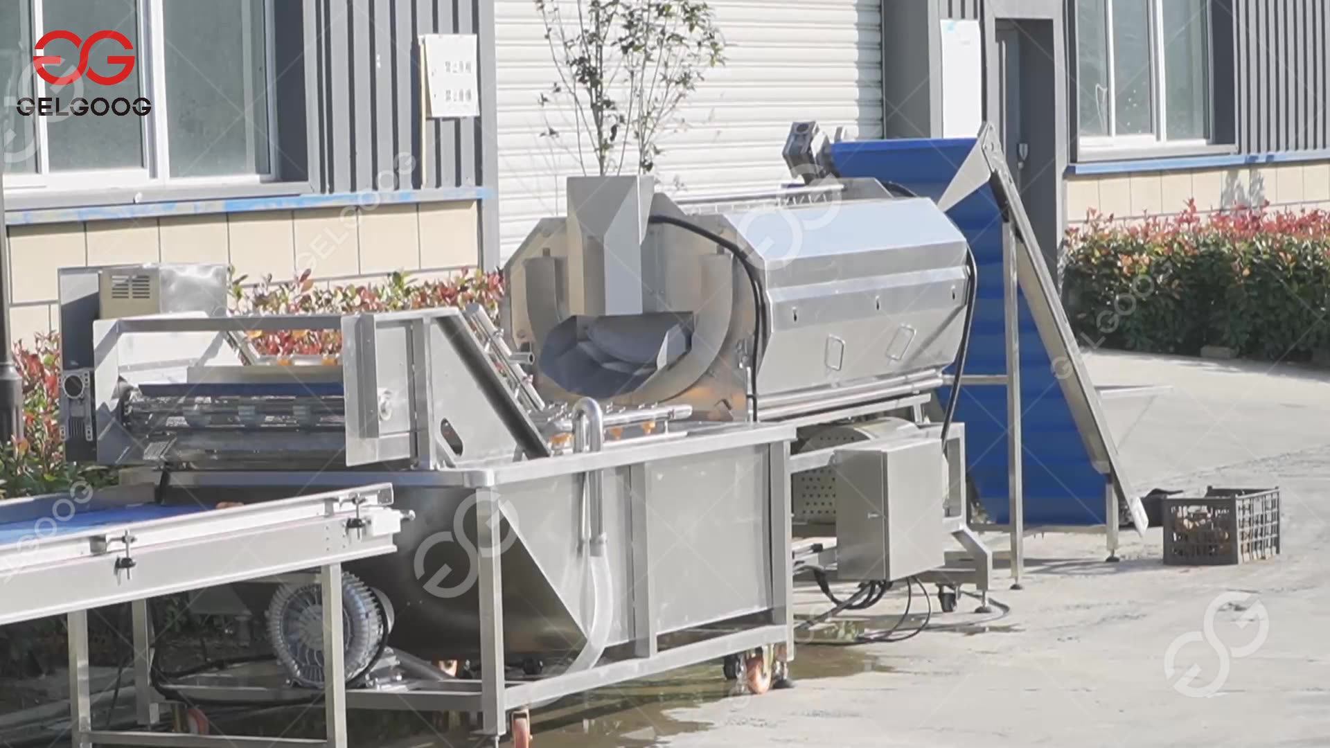 Industrial Customized 500kg/h Vegetable Washing Processing Equipments ...