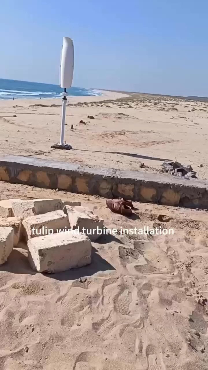 Tulip Wind Turbine Customize Home Use 5kw 10kw 20kw Windmill Power ...