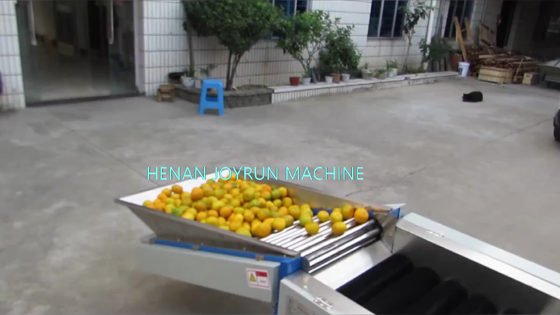 Farm Supermarket Equipment Sorter Grader Classify Machine For Jujube ...
