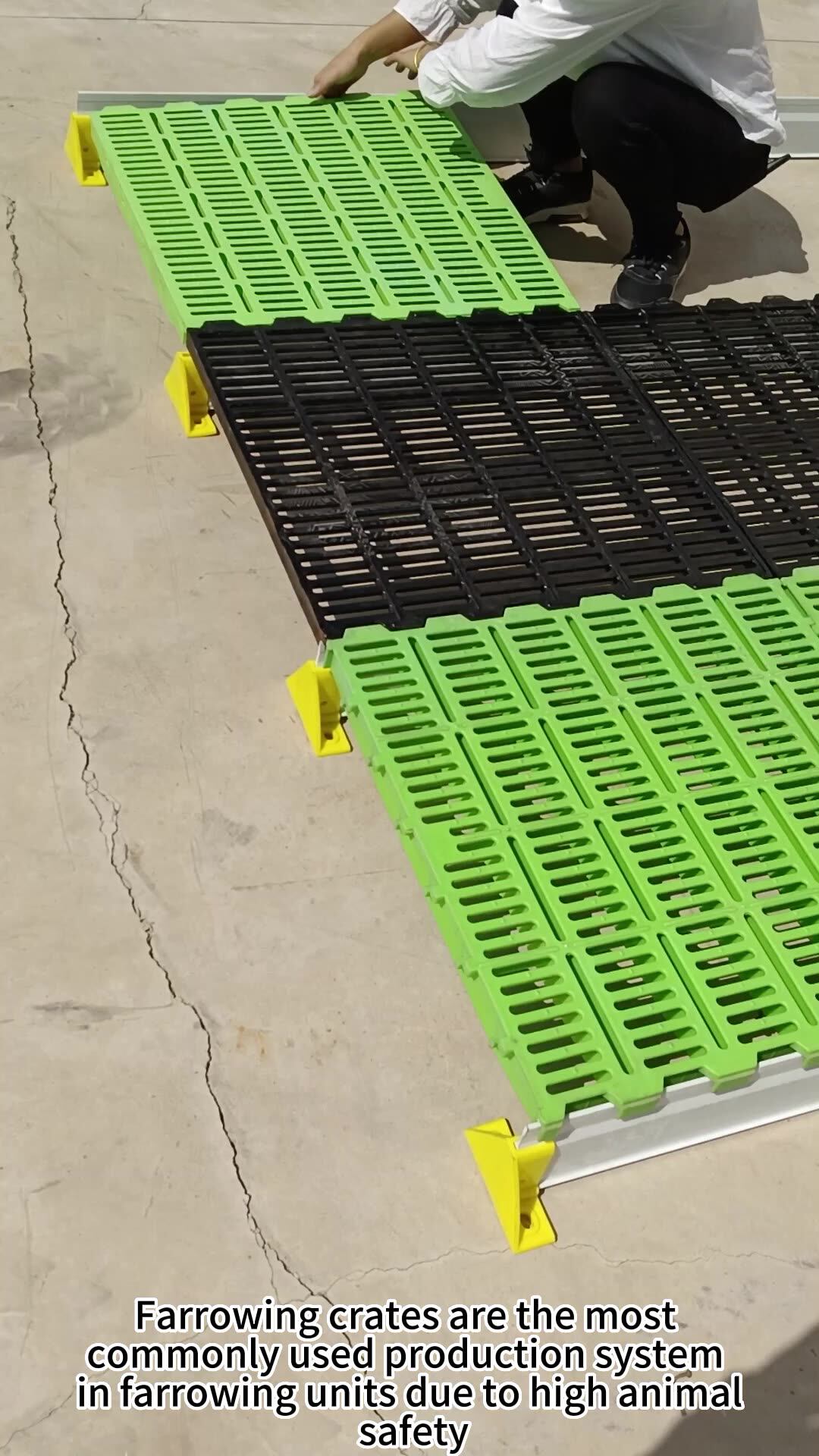 Plastic Pig Slats Grating Pig Pen Flooring For Pig Farm - Buy Pig Slats ...