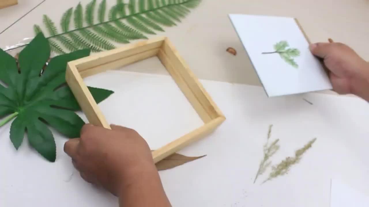 Plant Dried Flower Leaf Specimen Frame Wholesale Square A4 Paper-cut ...