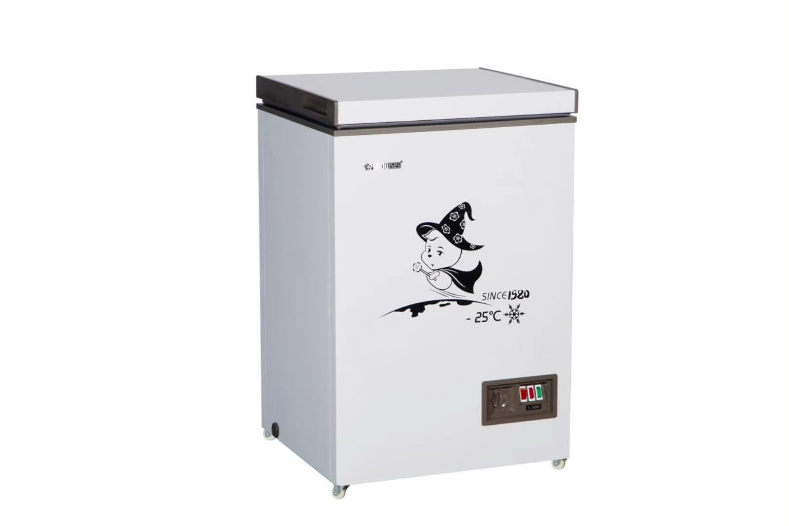 Snowsea Freezer Bd-300 Liter Factory Price Portable High Quality Mini ...