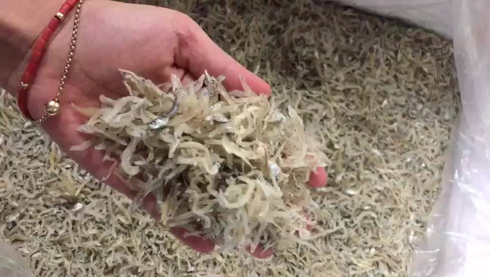 Boiled Dried Baby Anchovy White Anchovy Dry Sprats - Buy Boiled Dried ...